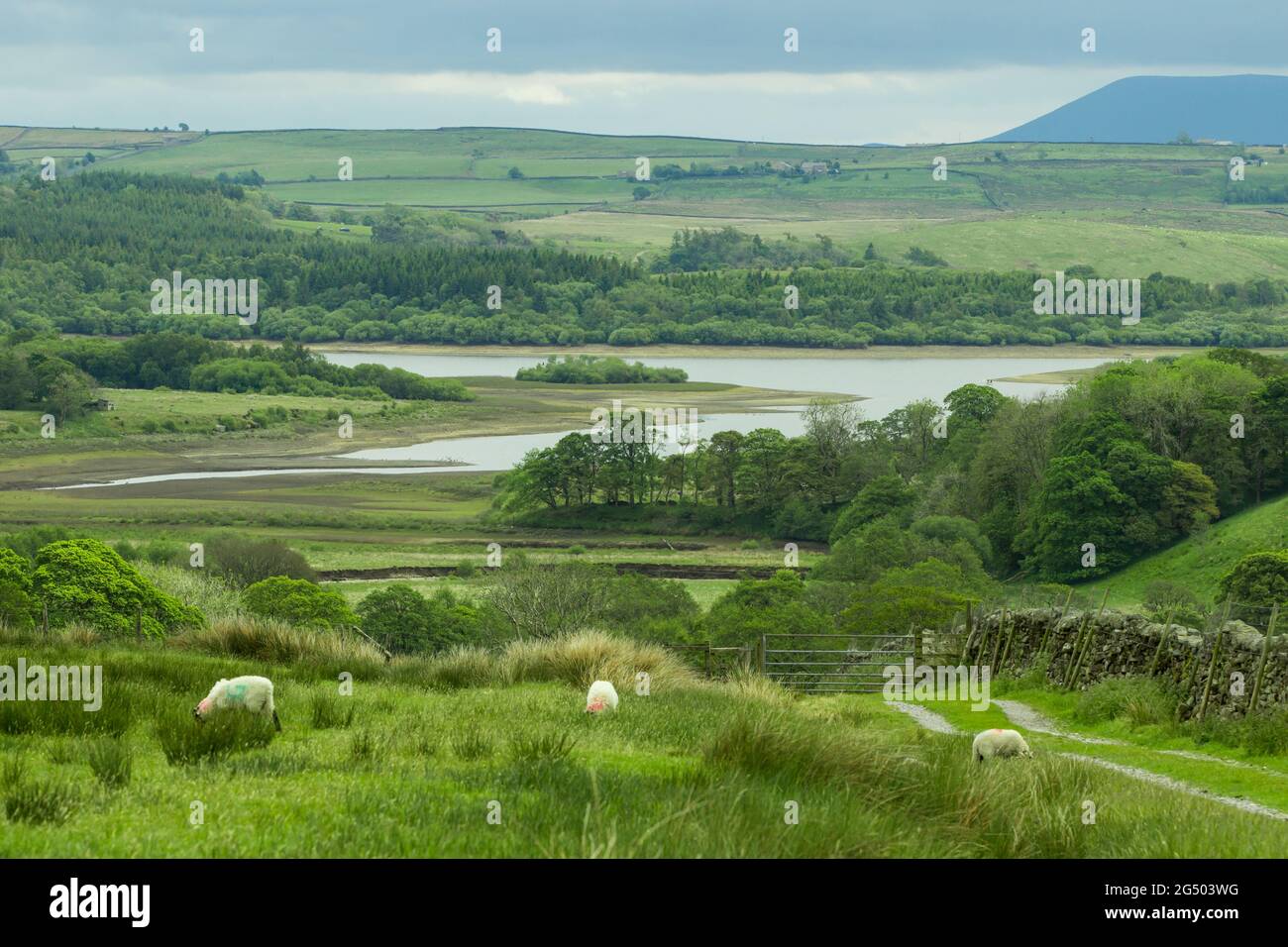 Pendle water hi-res stock photography and images - Alamy