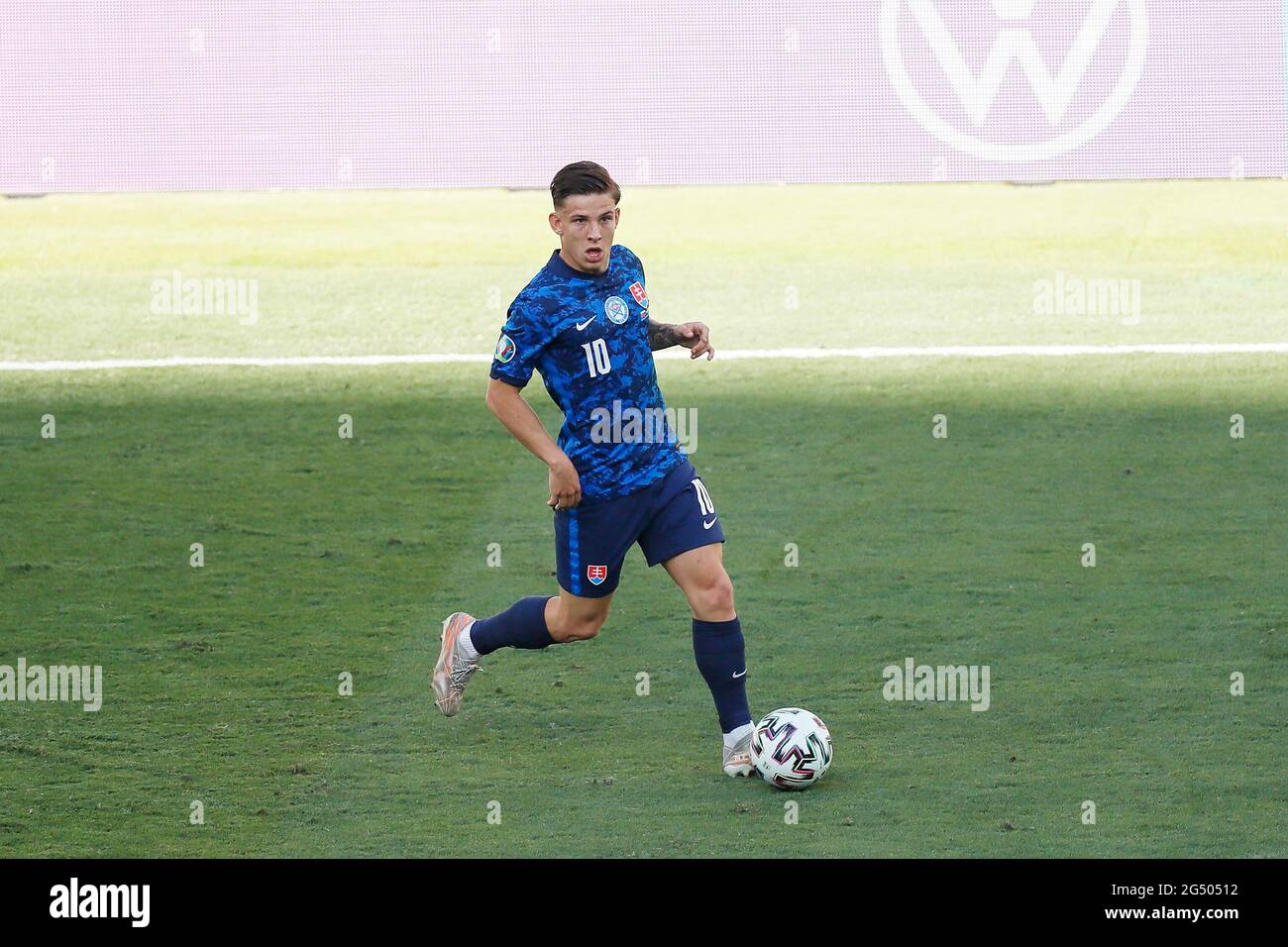 Suslov hi-res stock photography and images - Alamy