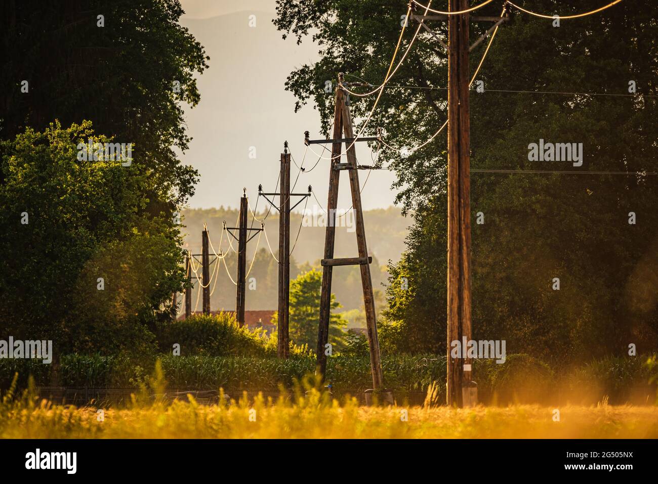 Line wooden poles hi-res stock photography and images - Alamy
