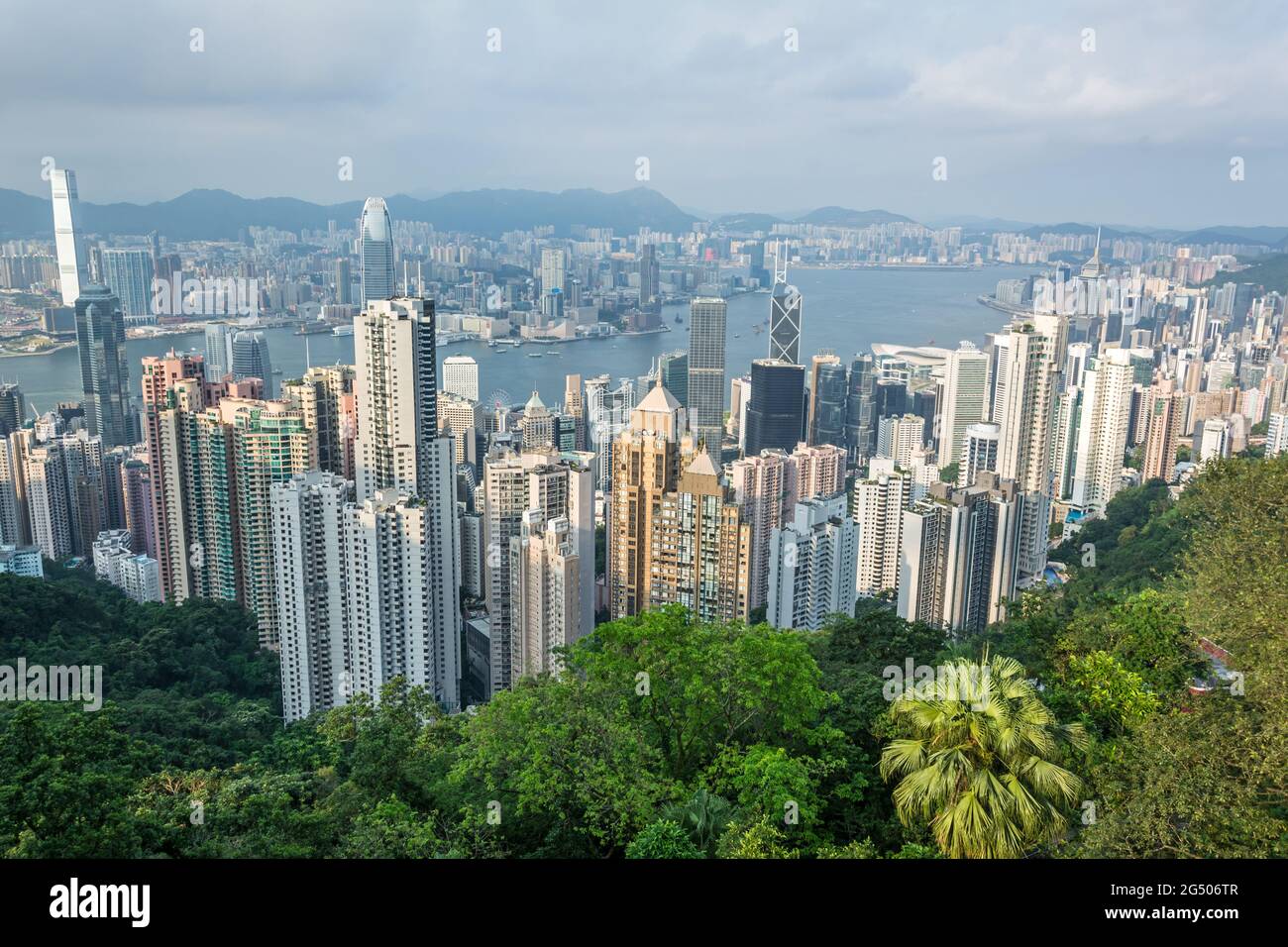 Jungle in city hi-res stock photography and images - Alamy