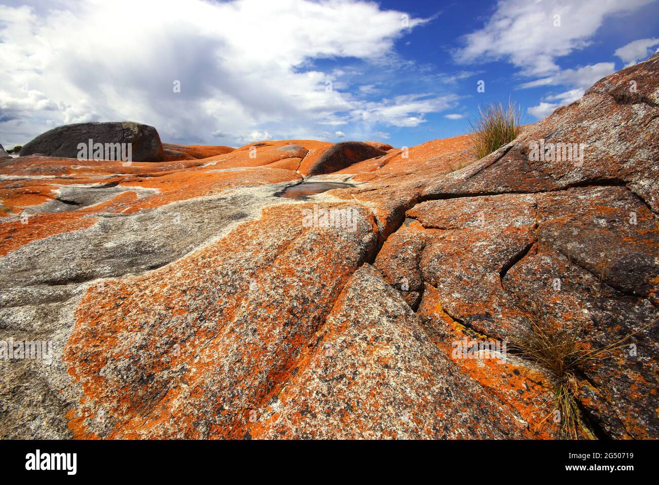 Red rocks at the Bay of Fires, Tasmania Stock Photo - Alamy