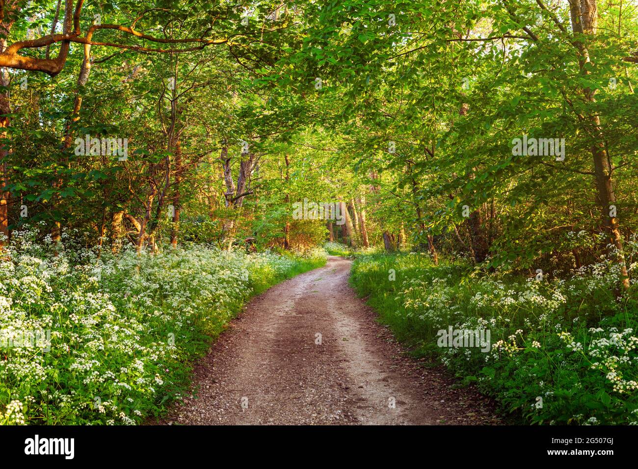 Country pathway hi-res stock photography and images - Alamy