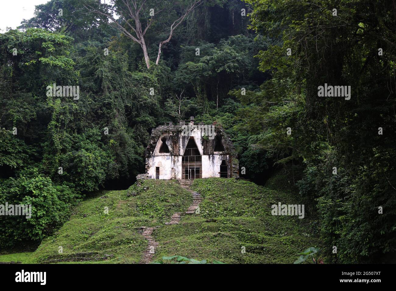 The Temple of the Cross of Leaves in Palenque, Mexico Stock Photo - Alamy