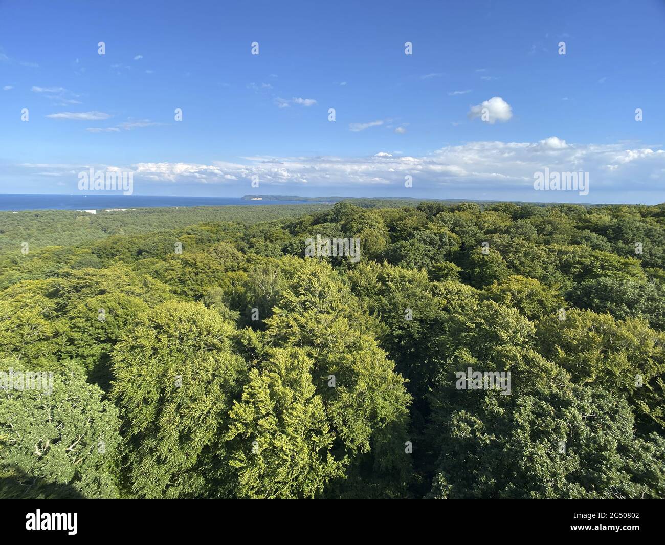 Beautiful treetop path in the natural heritage center of Rugen, Germany ...