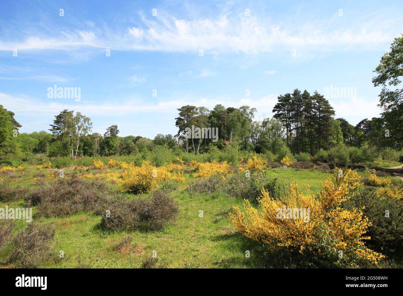 Rifle range hi-res stock photography and images - Alamy