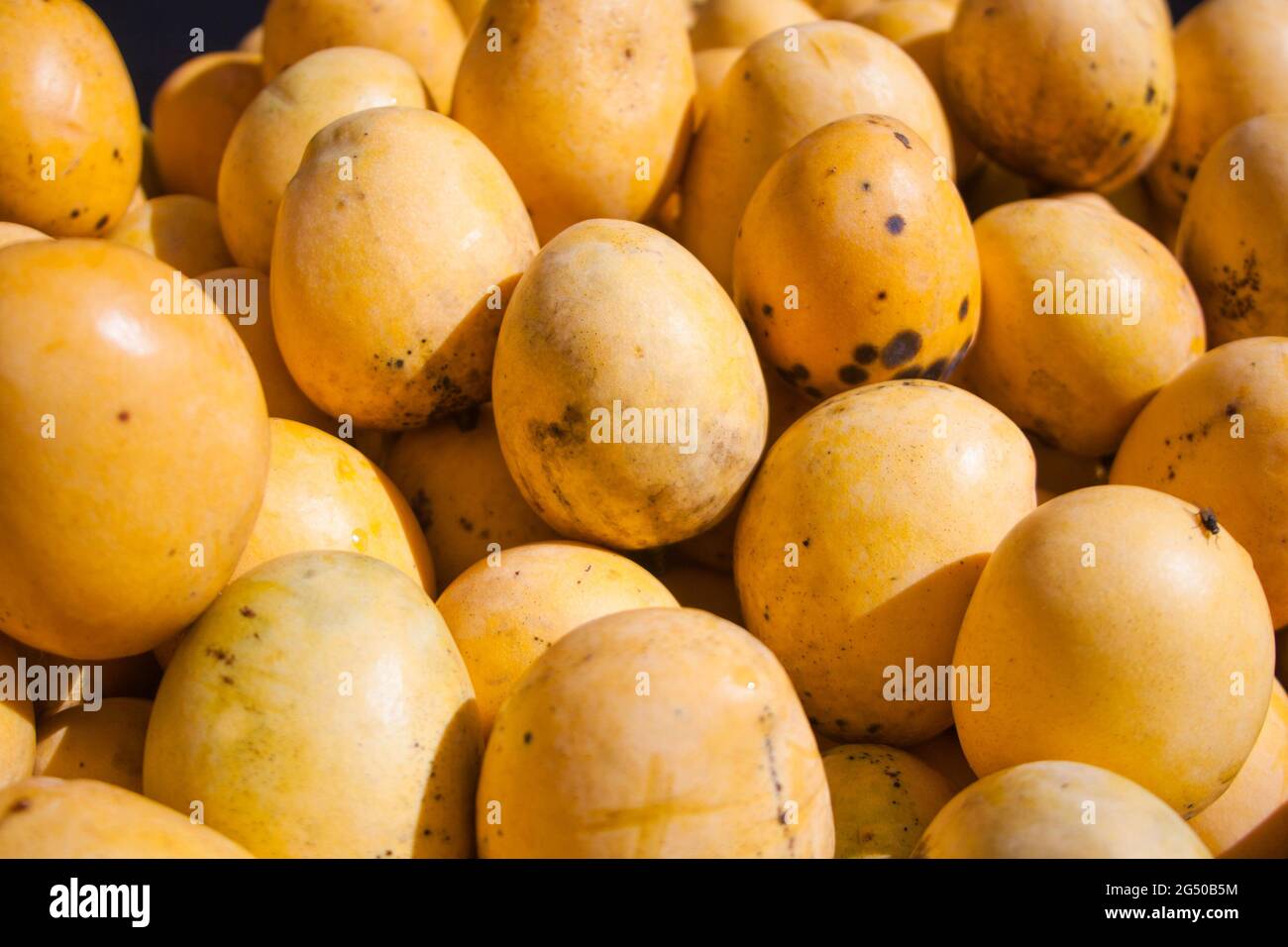 Caracas, Venezuela, June 2021.: General view of a box of mangoes in an ...
