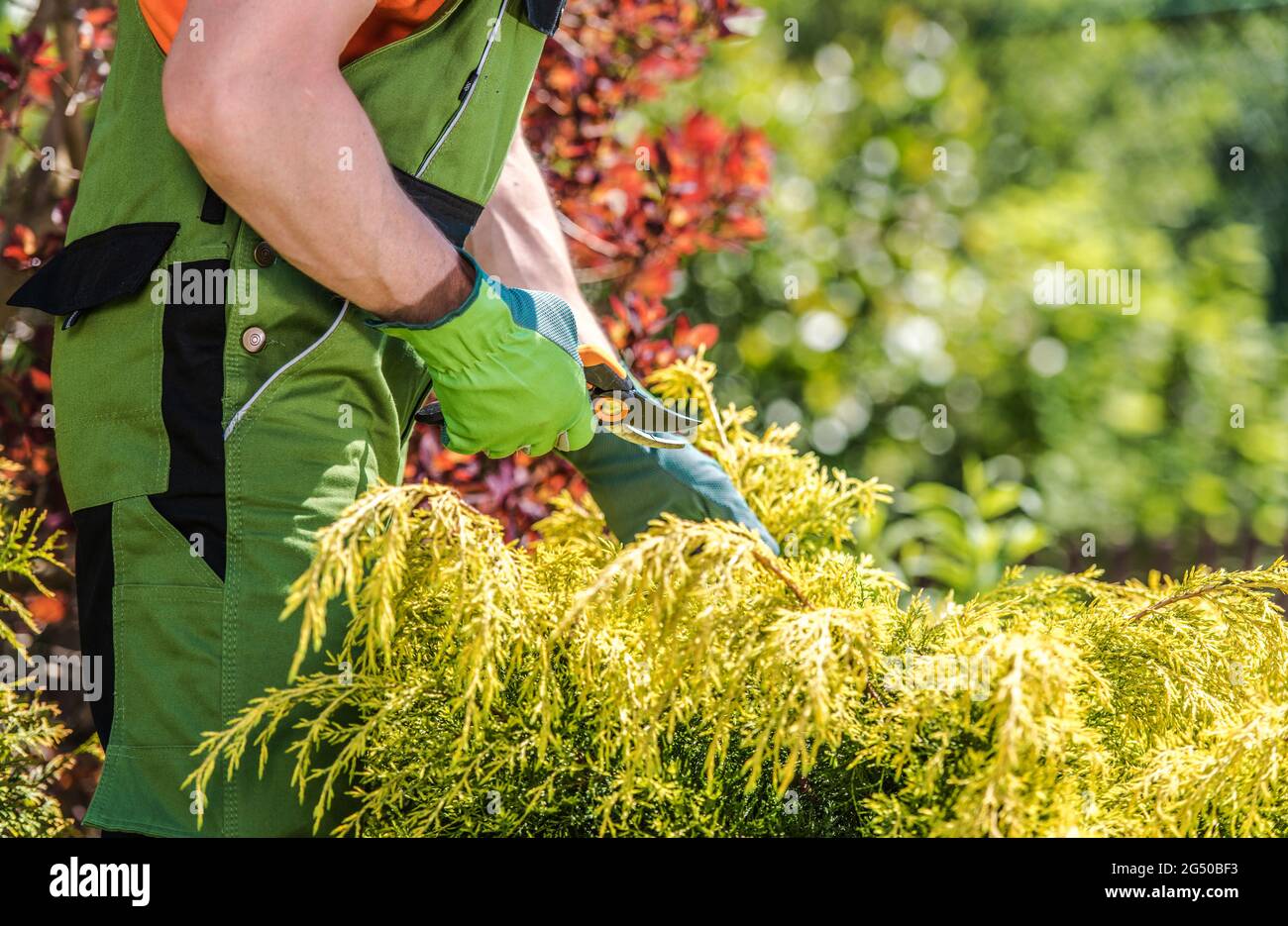 Trim your garden hi-res stock photography and images - Alamy