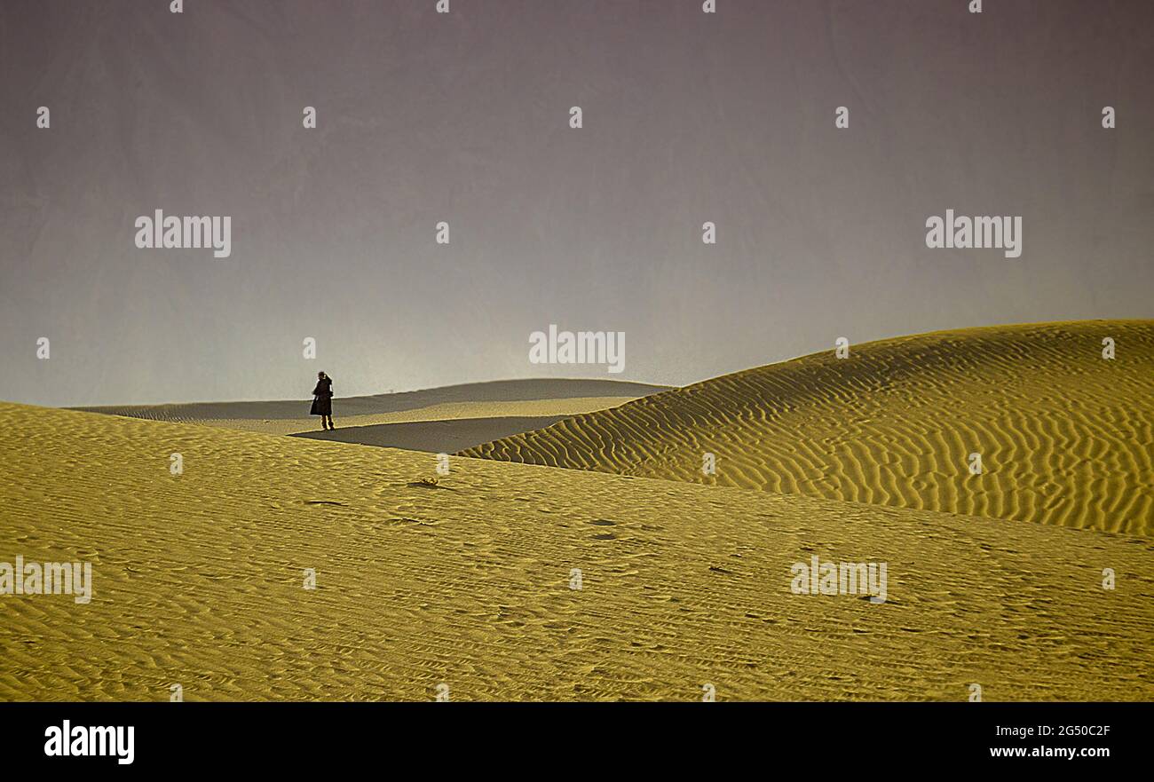 The lonely desert explorer Stock Photo - Alamy