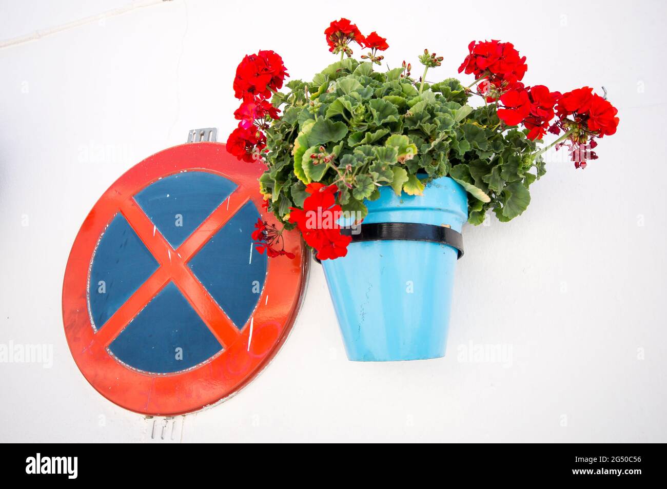 Closeup of a typical flower pot with red flowers attached to the wall ...