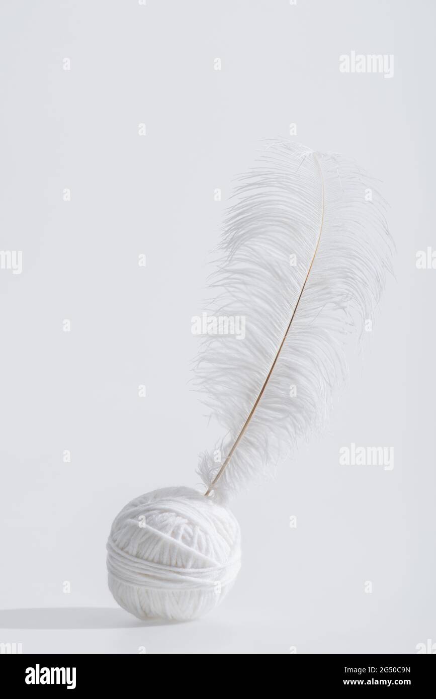 weightless and soft feather near ball of thread isolated on white Stock ...