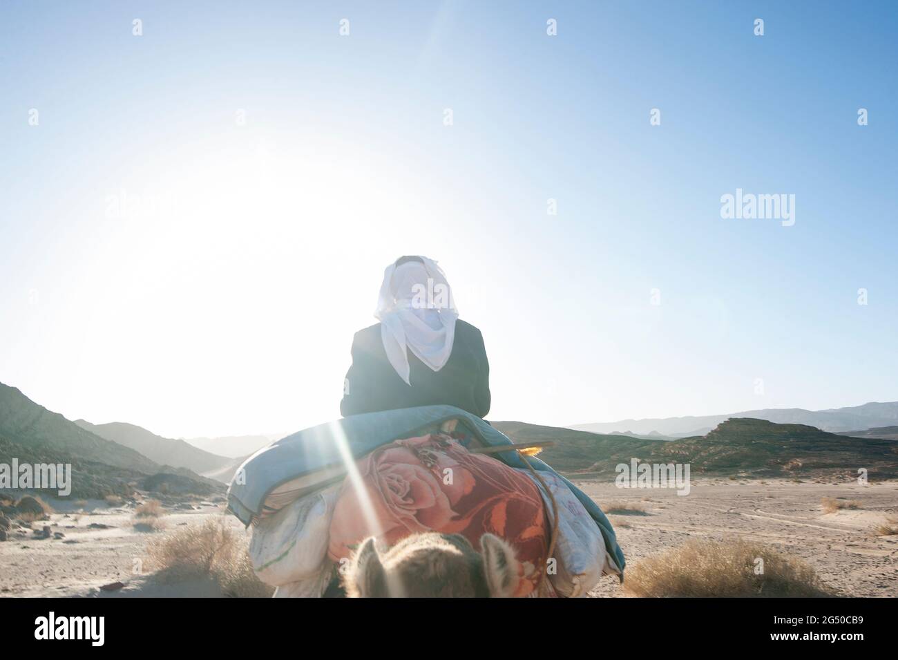 EGYPT, SINAI: Together with Bedouin Soliman Al Ashrab from the Mzaina ...