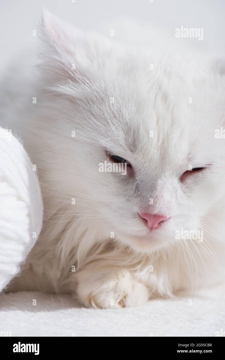 Close up tangled thread hi-res stock photography and images - Alamy