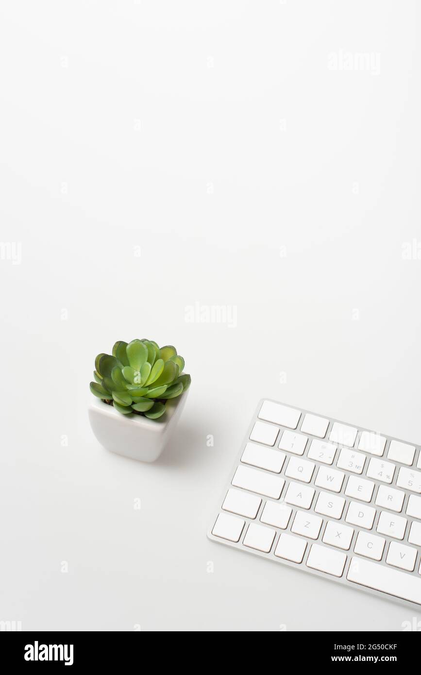high angle view of small plant, keyboard on white Stock Photo - Alamy