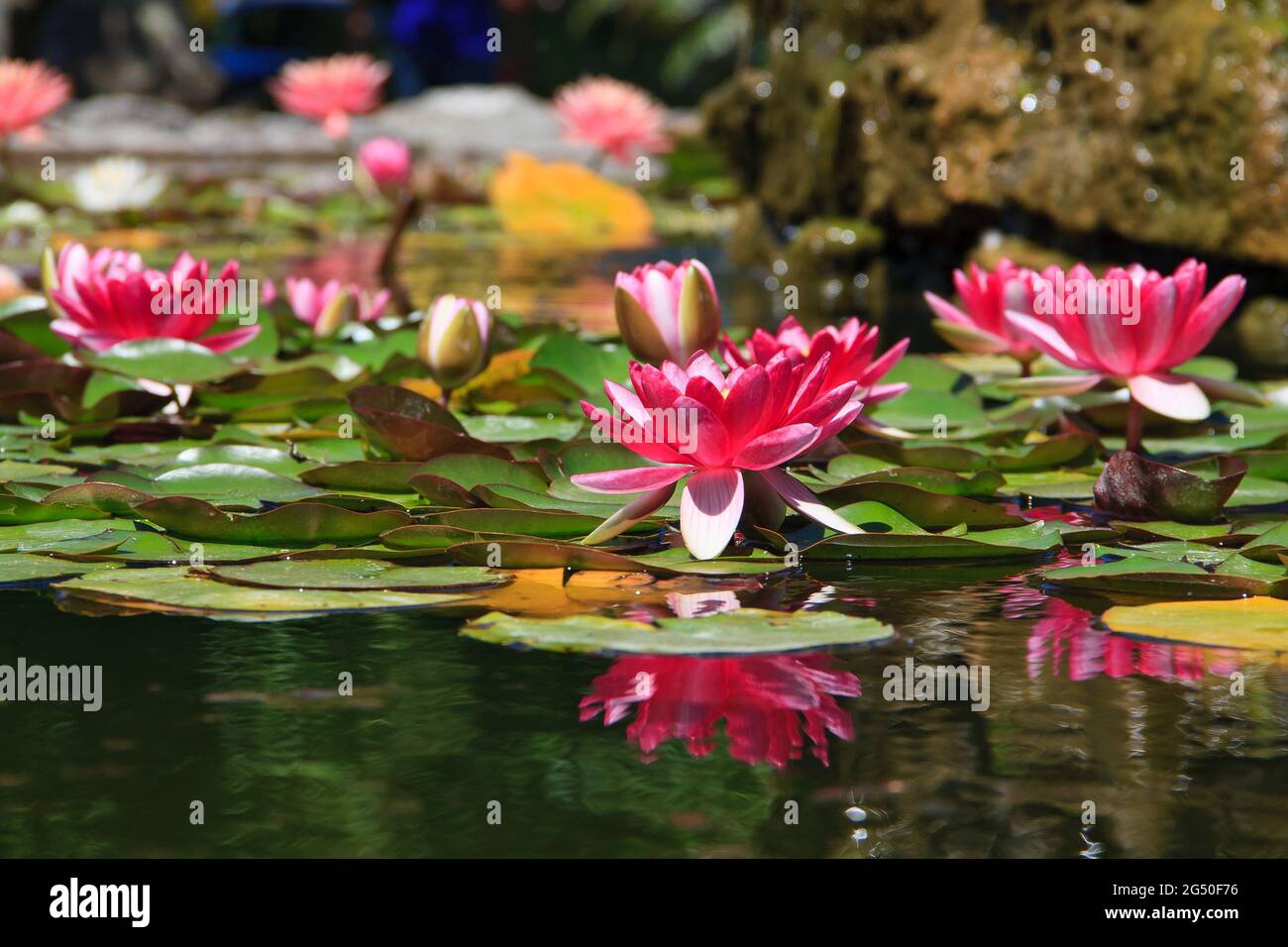 Splash pad water feature hi-res stock photography and images - Alamy