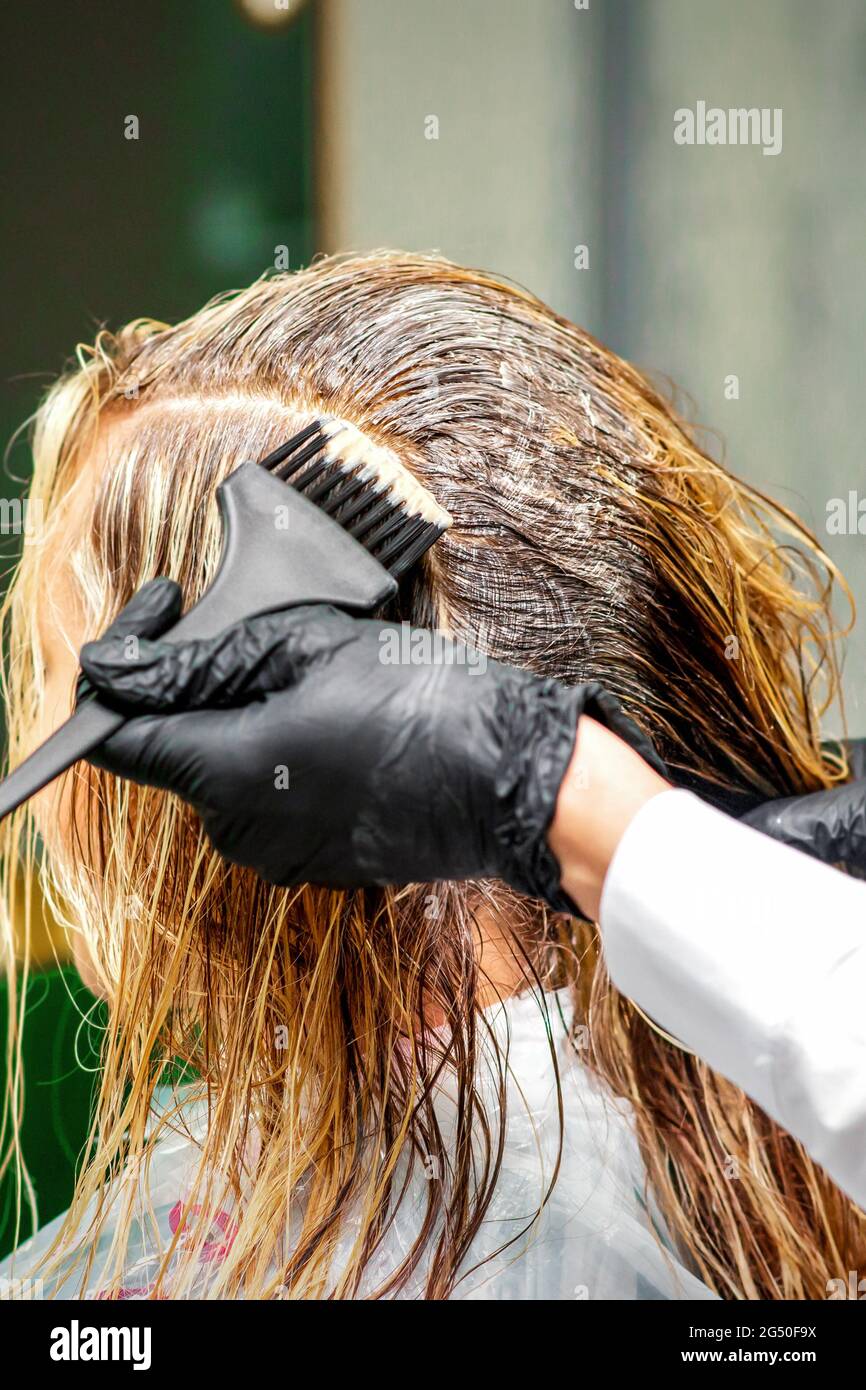 Hand of a hairdresser in black gloves applying dye to the female hair ...