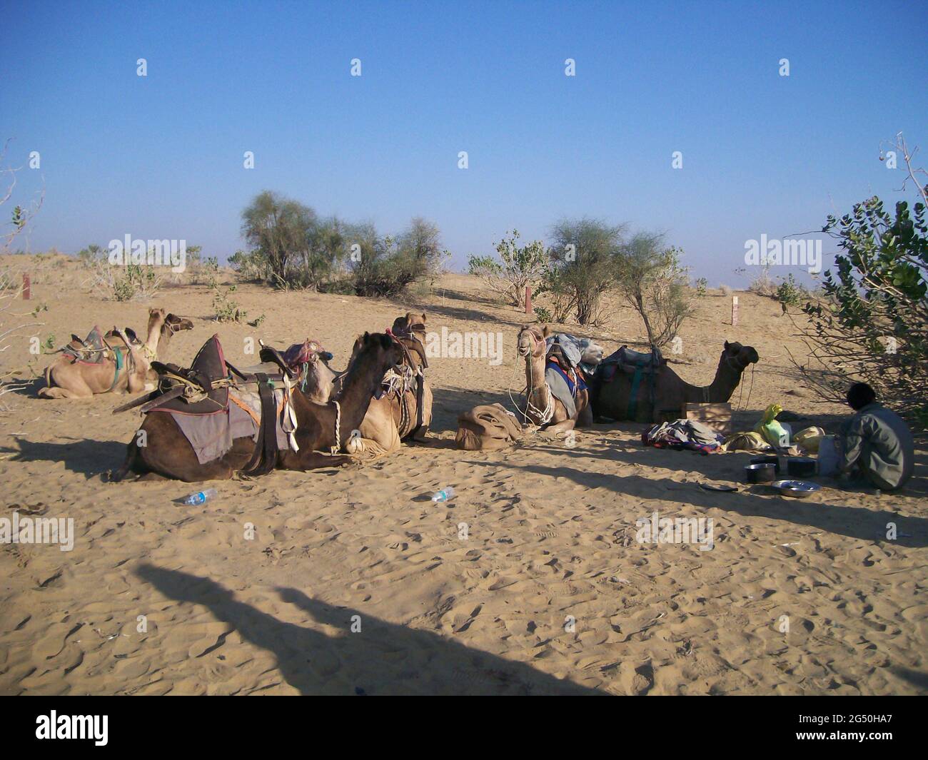 Village life in thar desert hi-res stock photography and images - Alamy