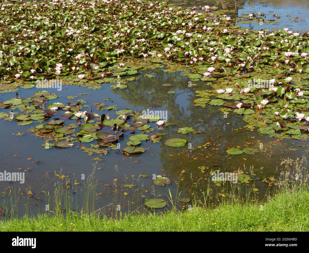 hiking at the baltic sea in germany Stock Photo - Alamy