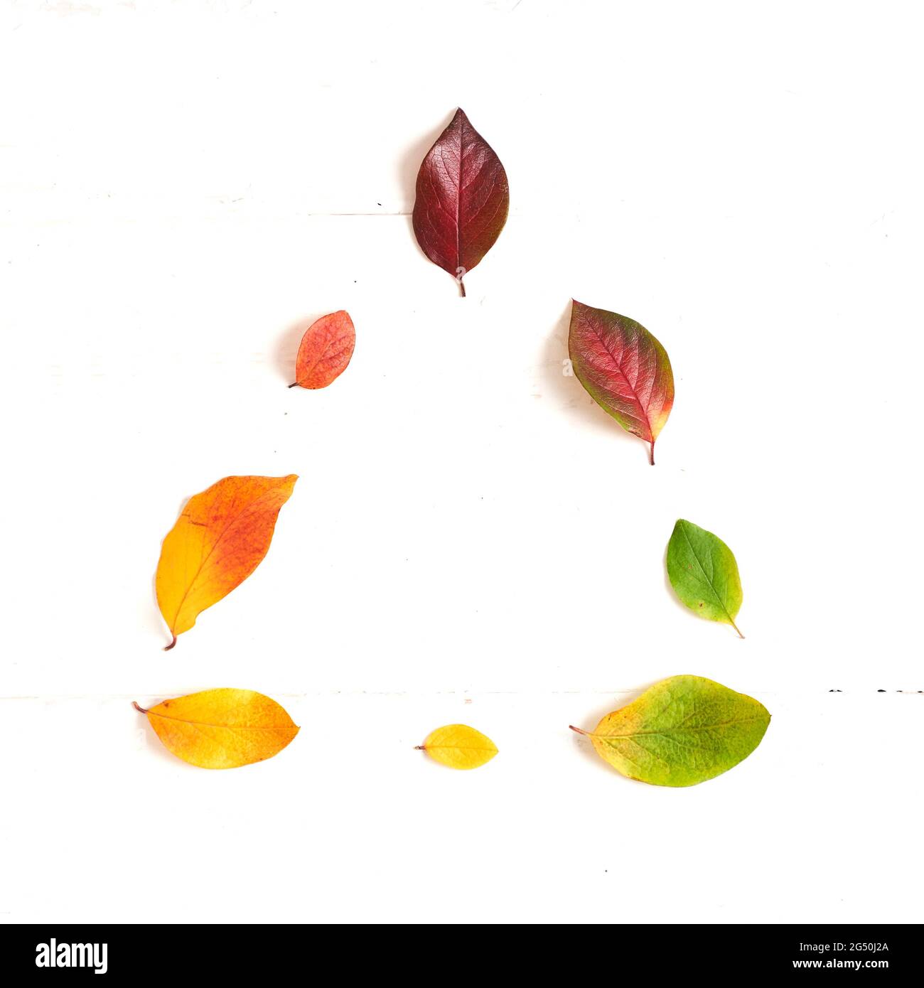 Triangle of colorful autumn leaves in the form of a gradient text frame ...