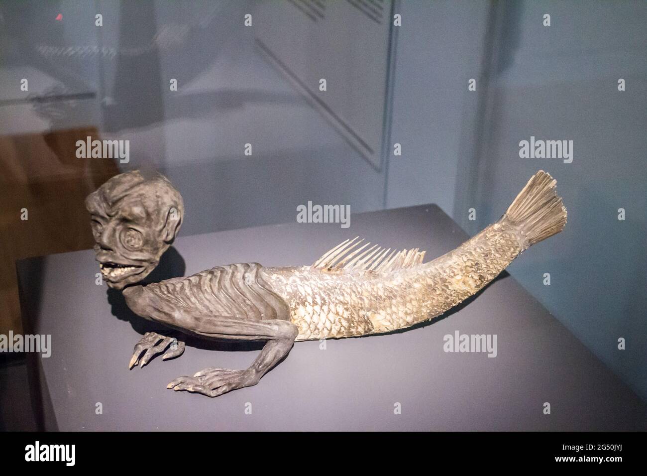 Chimera japan hi-res stock photography and images - Alamy