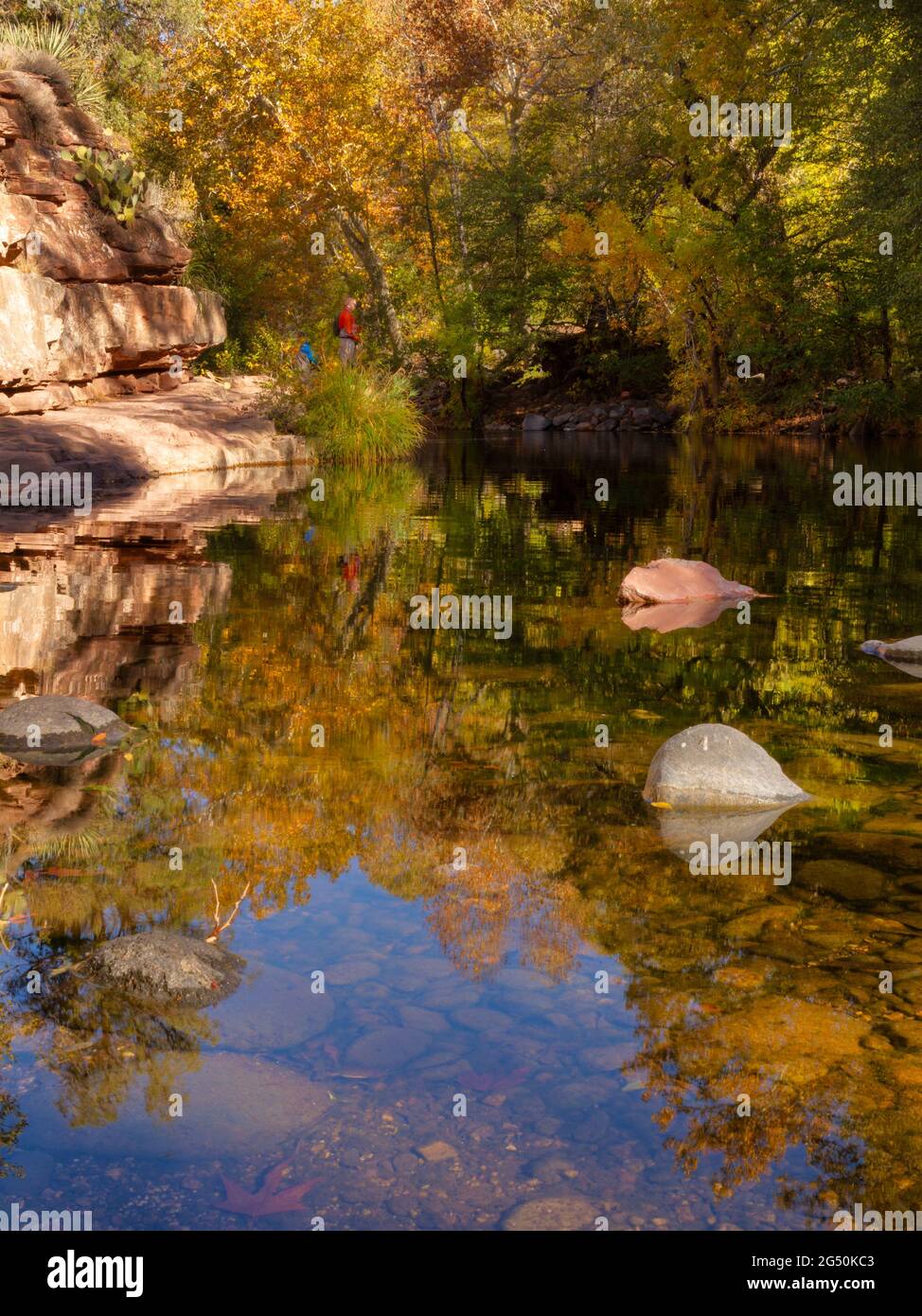 Grasshopper point hi-res stock photography and images - Alamy