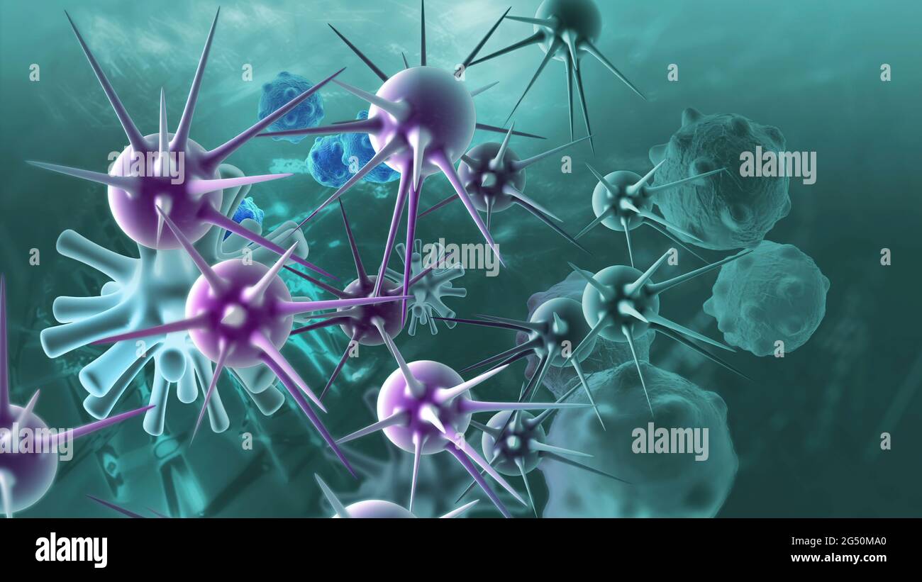 Interphase and mitosis hi-res stock photography and images - Alamy