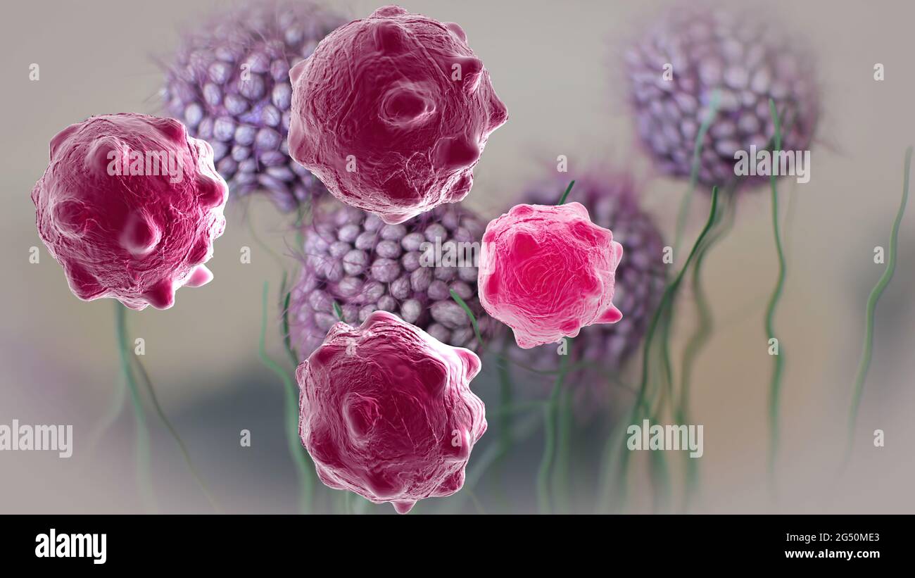 3d illustration - Cancer Cells With High Details Stock Photo - Alamy