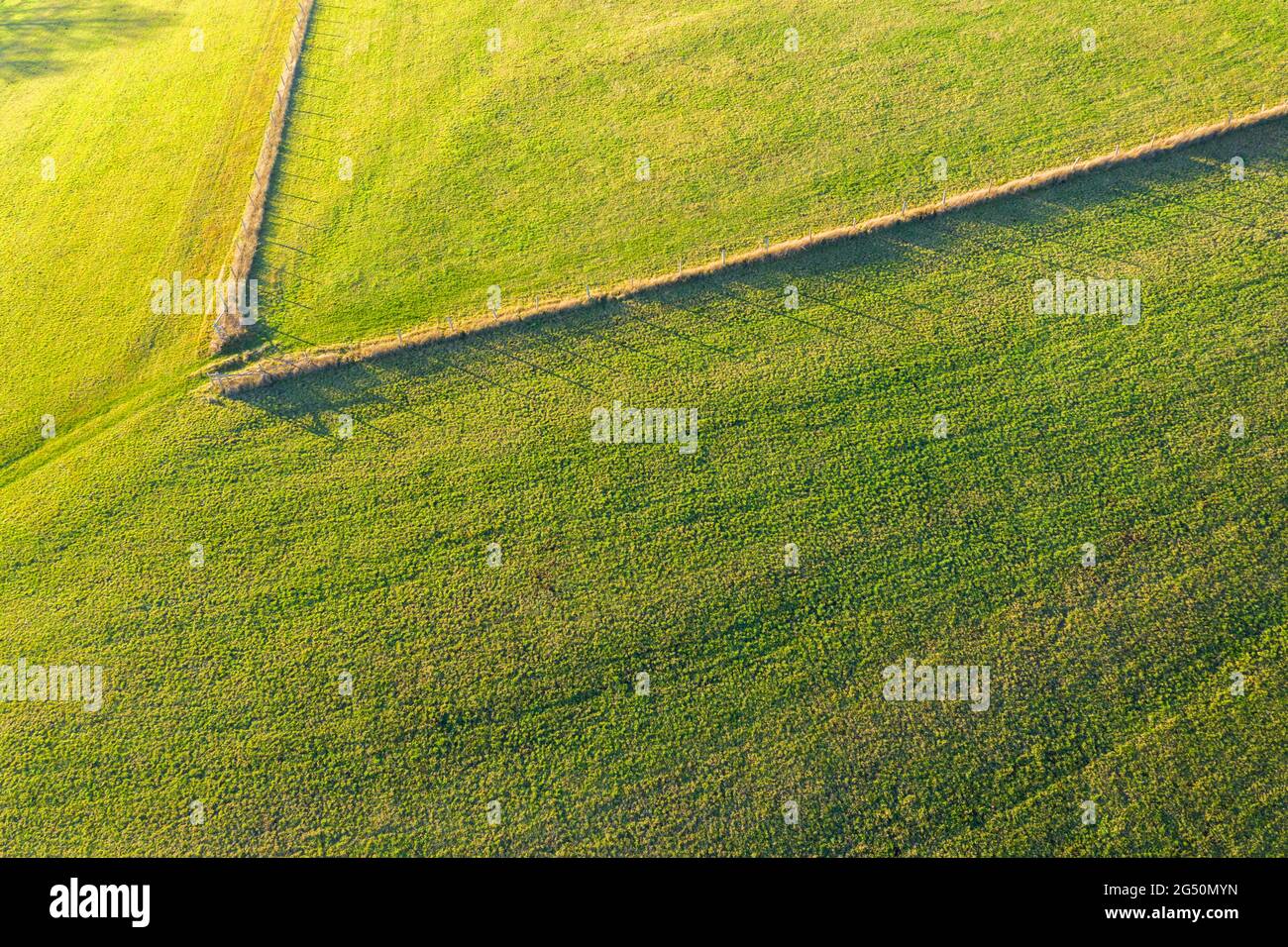 From pasture hi-res stock photography and images - Alamy