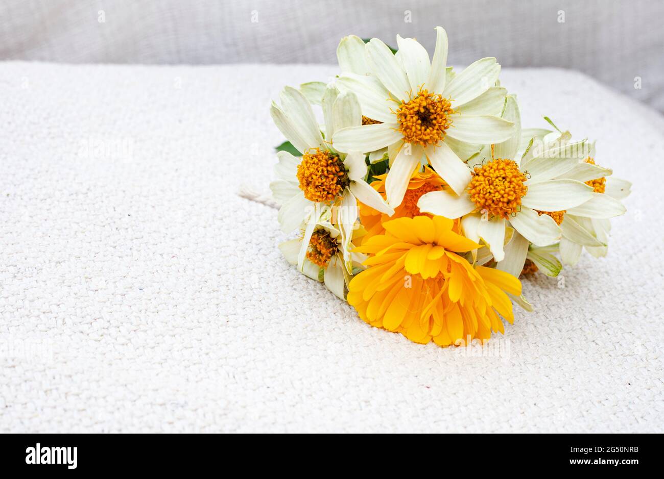 Bunches with classic hi-res stock photography and images - Alamy