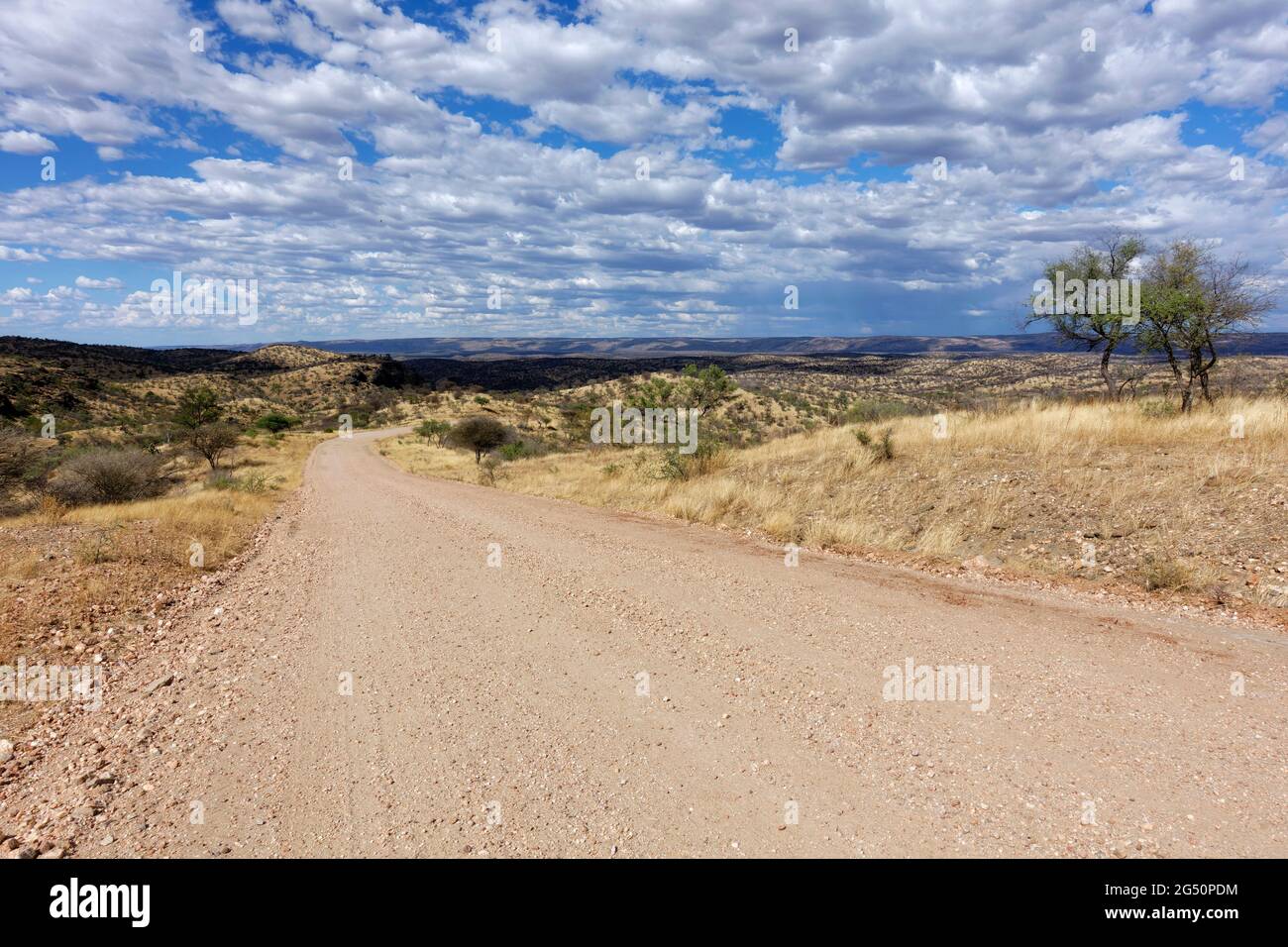 Gravel road D2102 east of Windhoek, in the direction of Midgard, rain ...