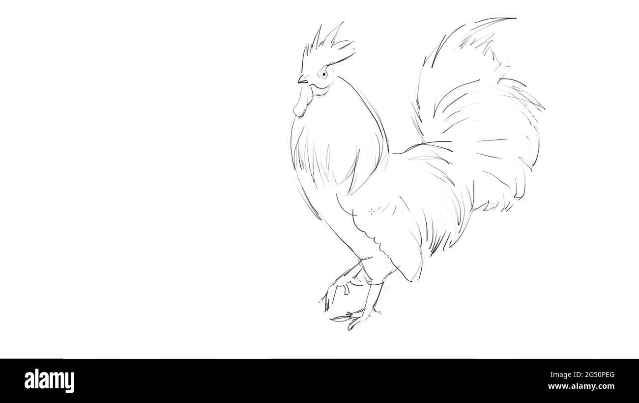 3d illustration - Hand drawing Of A Rooster - Art Process Stock Photo ...