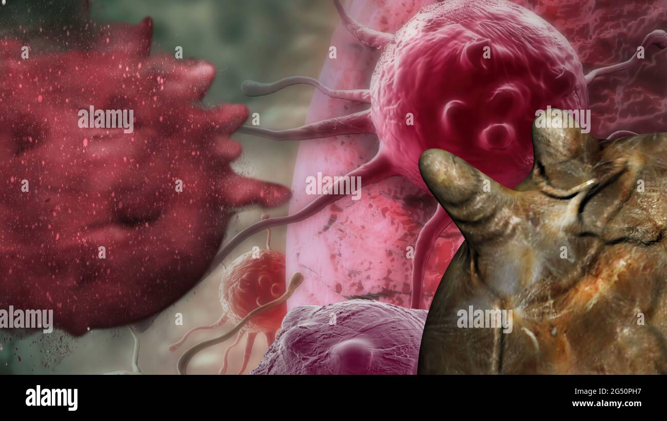 3d illustration Of A Damaged And Disintegrating Cancer Cell Stock Photo ...