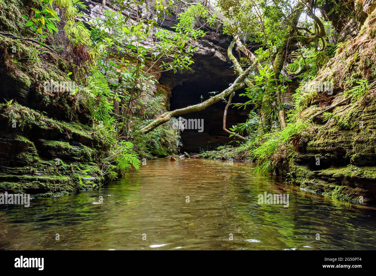 Stone cave interior with small river and lake surrounded by tropical ...