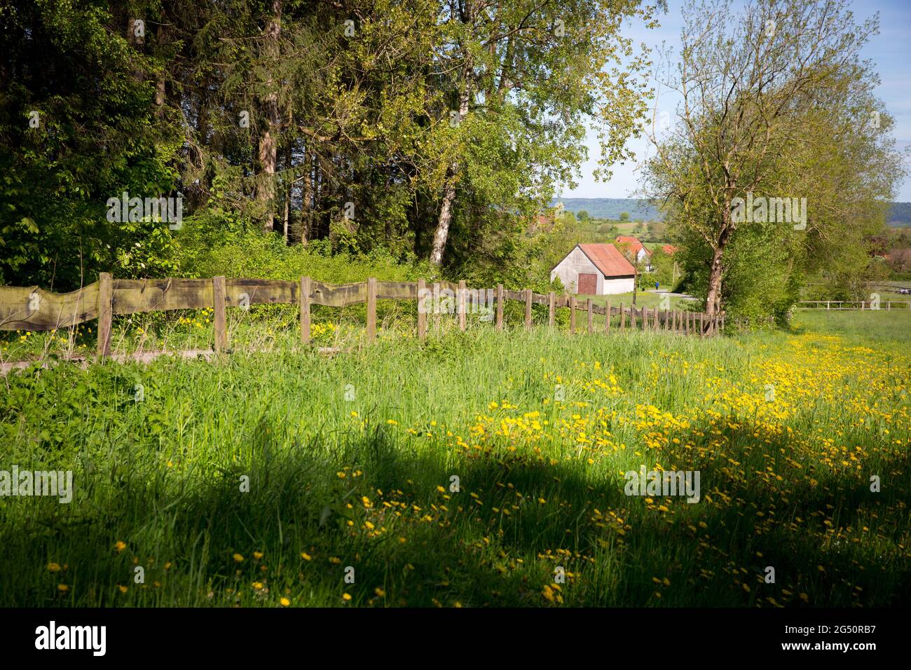 Early Summer Landscape In Germany With Meadows And Forest And Field ...