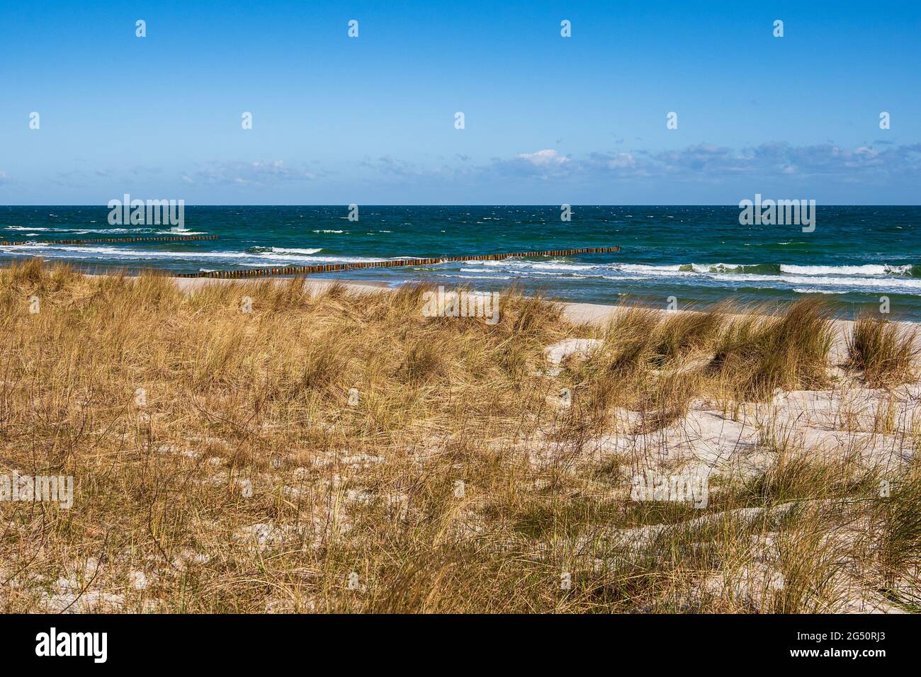 Dune on the Baltic Sea coast in Zingst, Germany Stock Photo - Alamy