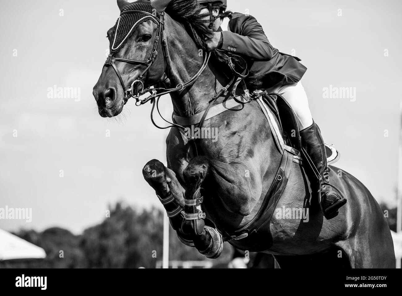 Horse Jumping, Equestrian Sports, Show Jumping event themed photograph ...