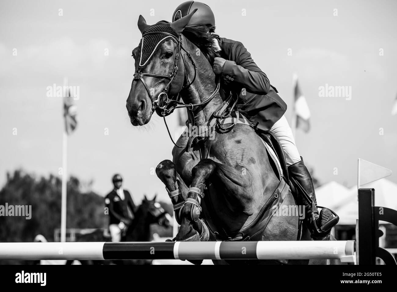 Showjumping jump hi-res stock photography and images - Alamy
