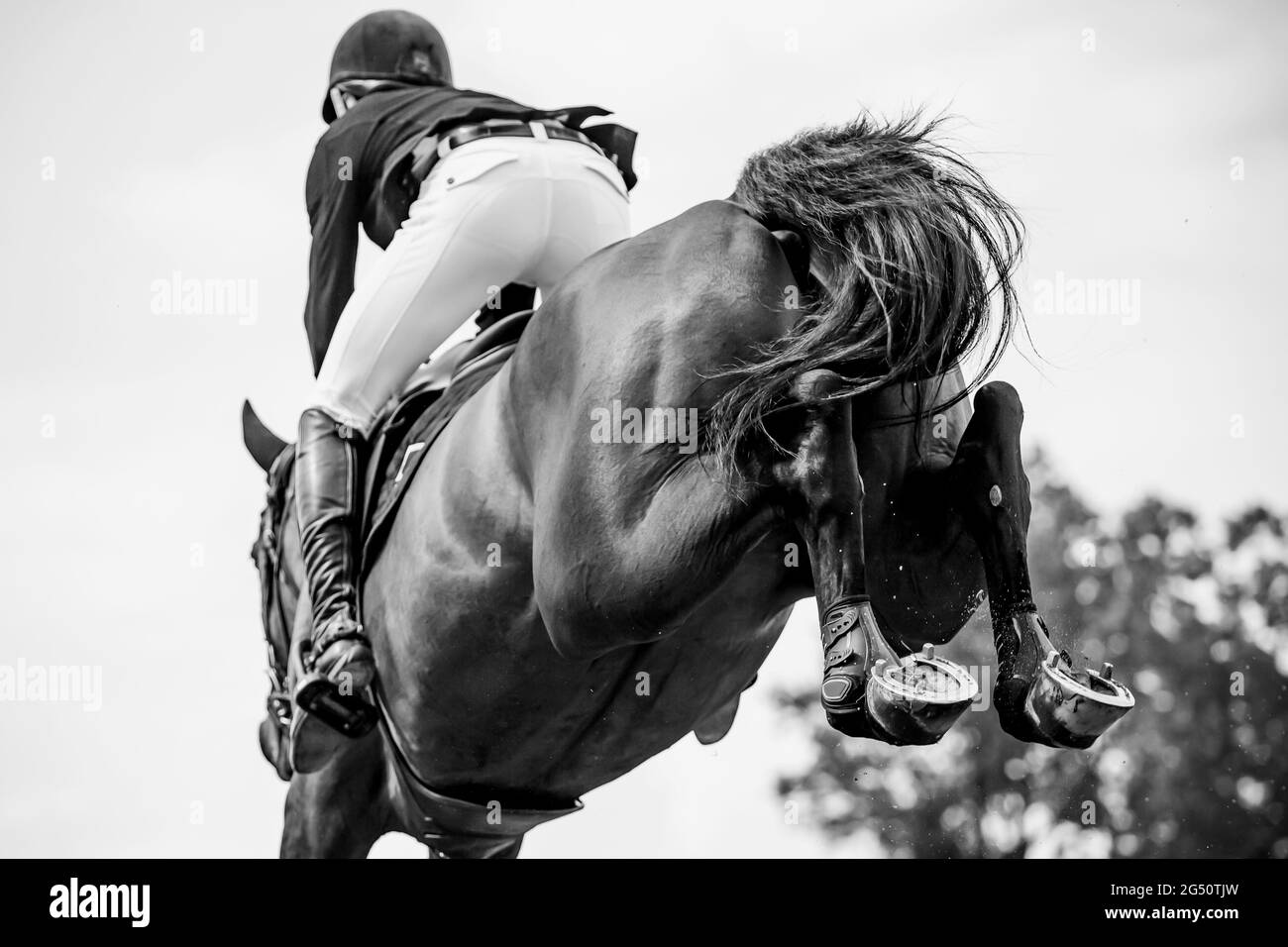 Horse Jumping, Equestrian Sports, Show Jumping event themed photograph ...
