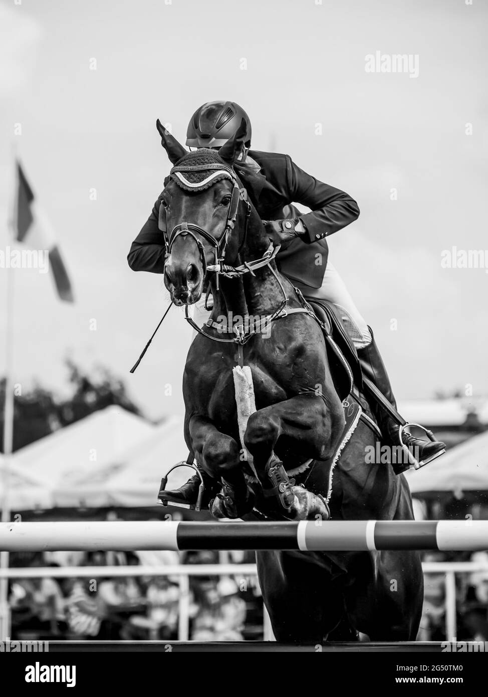 Horse Jumping, Equestrian Sports, Show Jumping event themed photograph ...