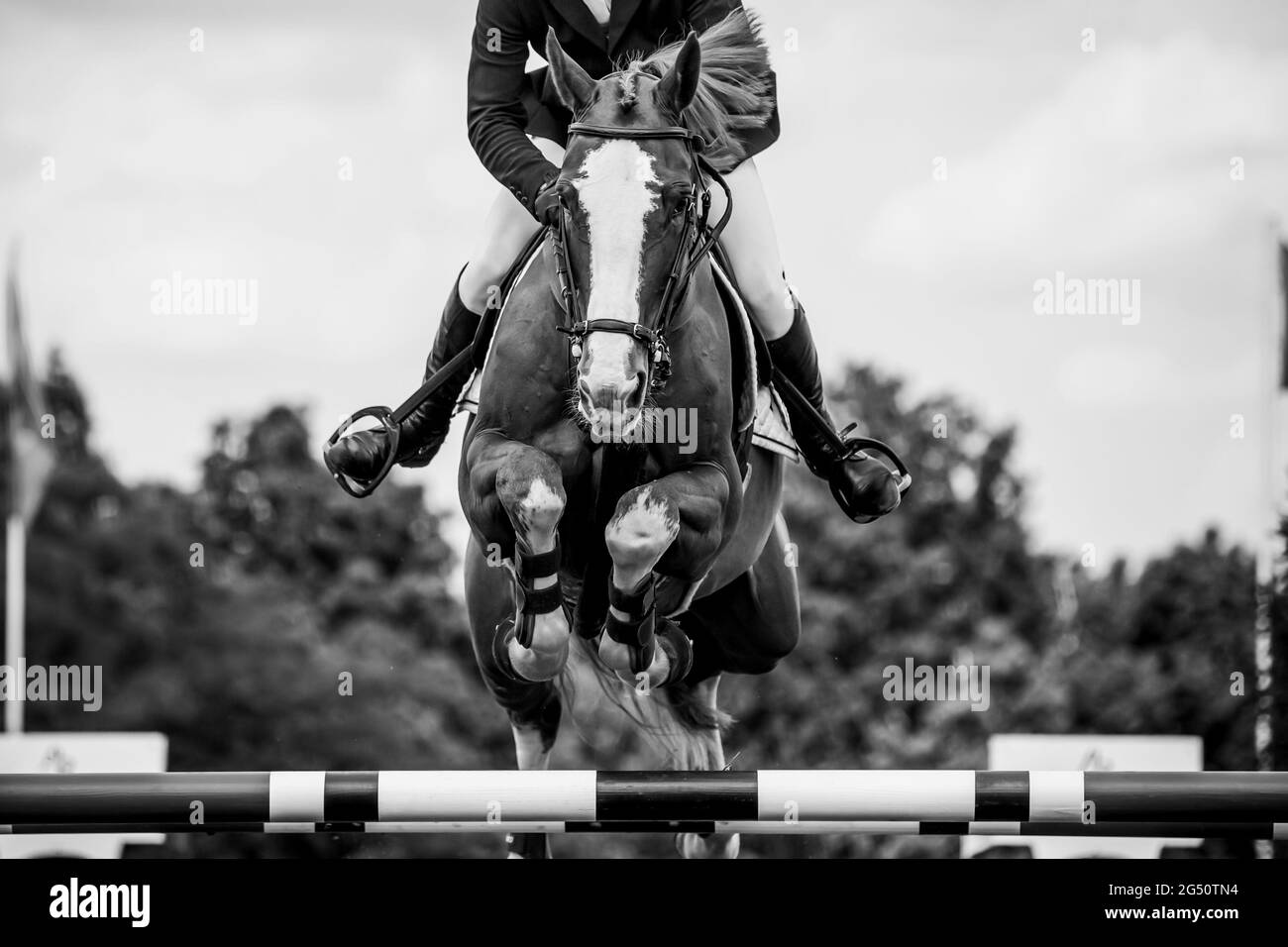 Horse Jumping, Equestrian Sports, Show Jumping event themed photograph ...