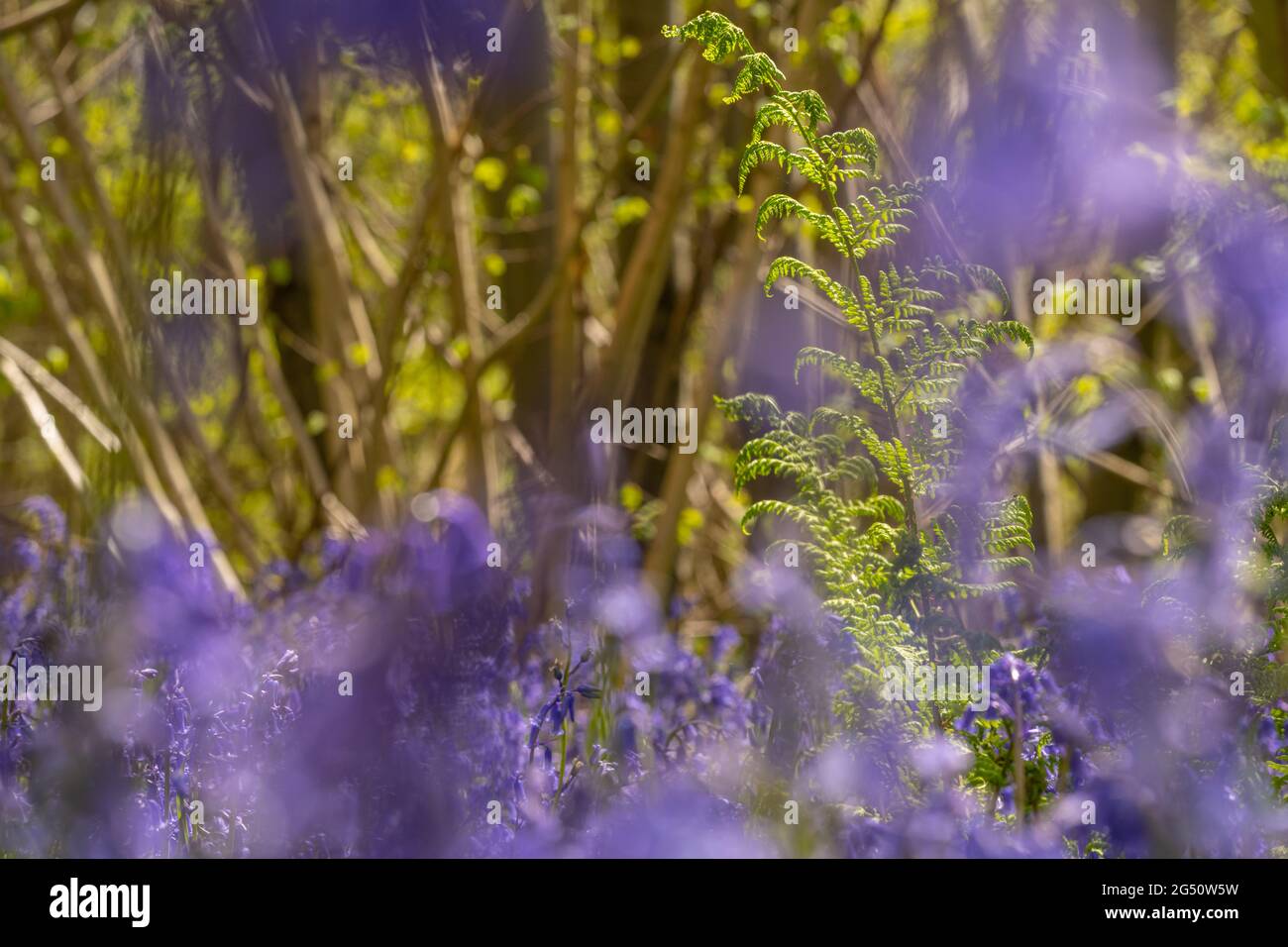 Kent countryside spring hi-res stock photography and images - Alamy