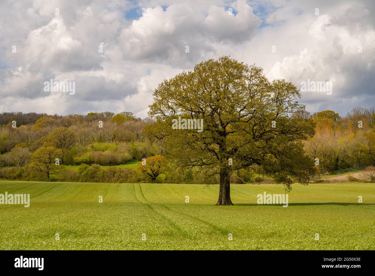 Dramatic sky farmland england hi-res stock photography and images - Alamy