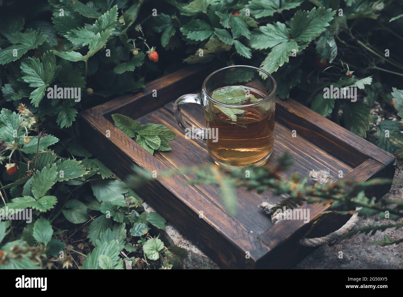 Cottage core aesthetic hi-res stock photography and images - Alamy