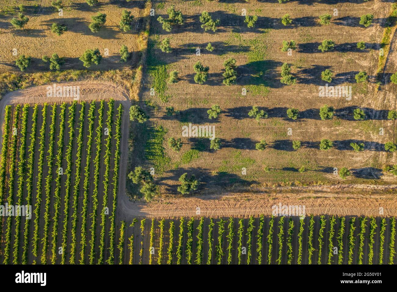 Aerial view of Horta de Sant Joan village and the surrounding ...