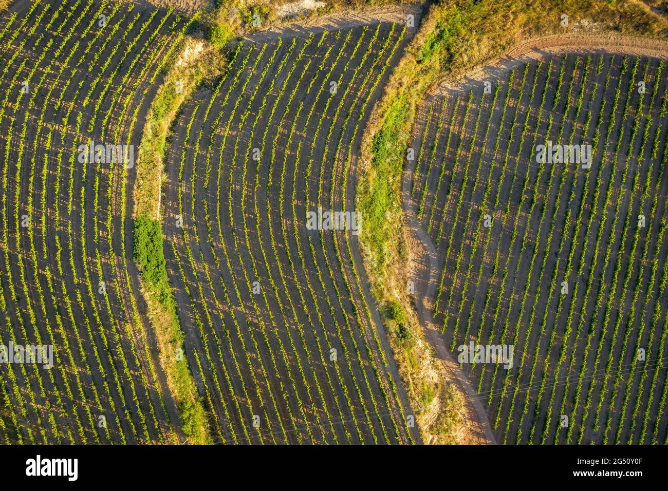Aerial view of Horta de Sant Joan village and the surrounding ...