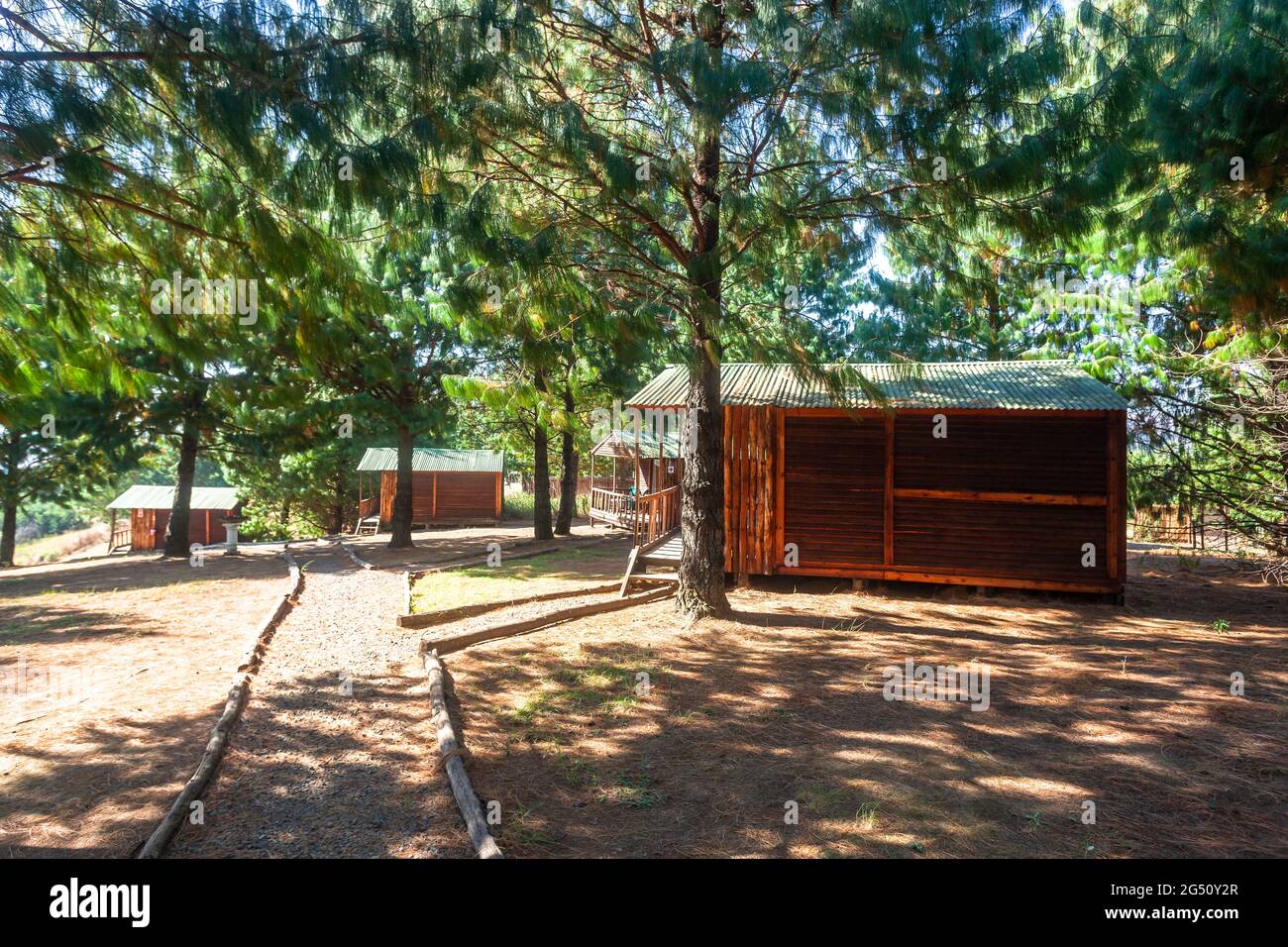 Small wood cabins four structures between pine trees in remote ...