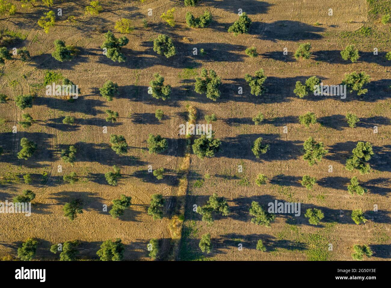 Aerial view of Horta de Sant Joan village and the surrounding ...