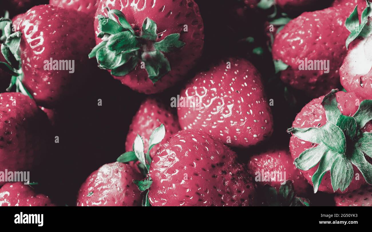 Beautiful berry texture background. Tasty strawberry backdrop Stock ...