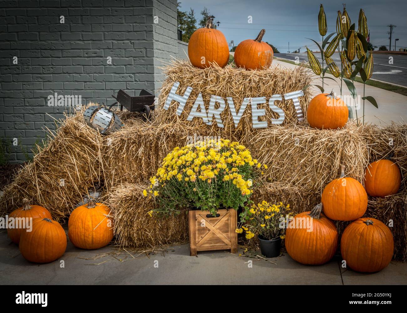 Autumn display outdoors at the entry way of a farmers market with a ...