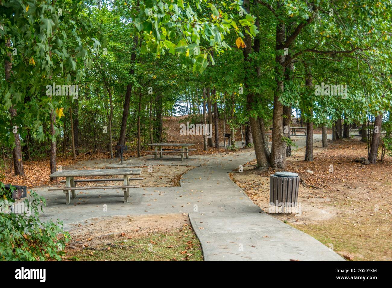 Picnic area with individual spaces a table wooden with a cement top and ...