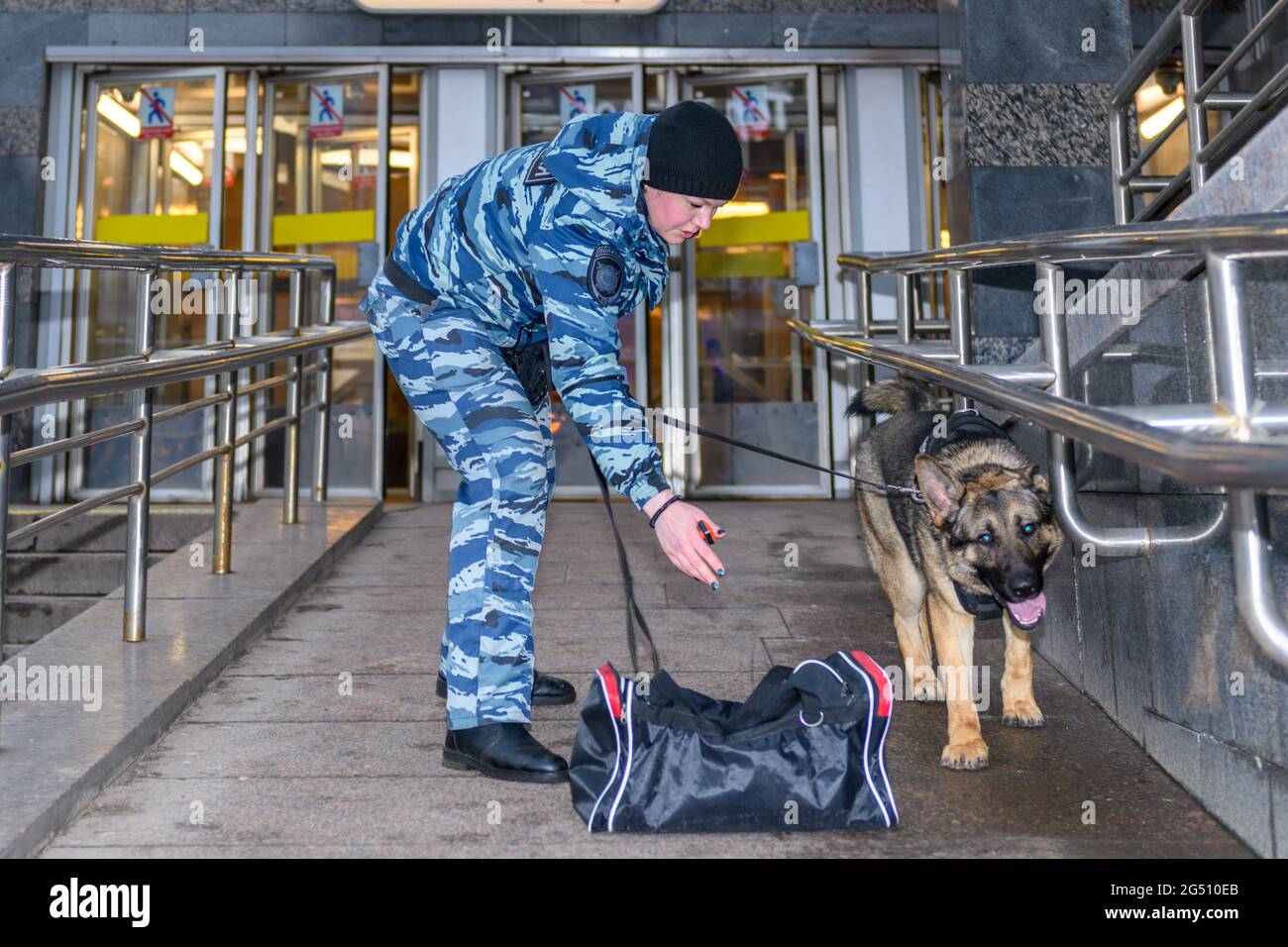 Female police officer with a trained dog sniffs out drugs or bomb in luggage. German shepherd ...